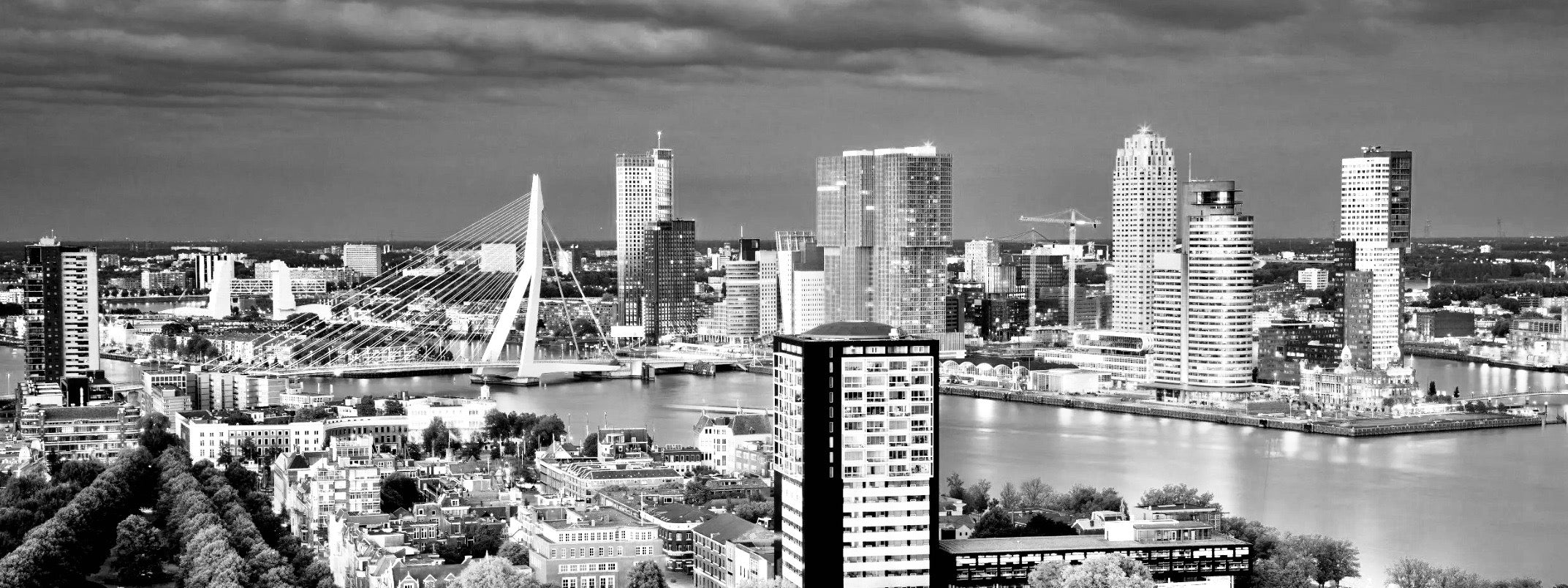 Coffee Mugs - Rotterdam – BLN PRINT